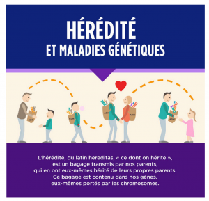 La génétique en images par l’Agence de la Biomédecine – Les Feux Follets